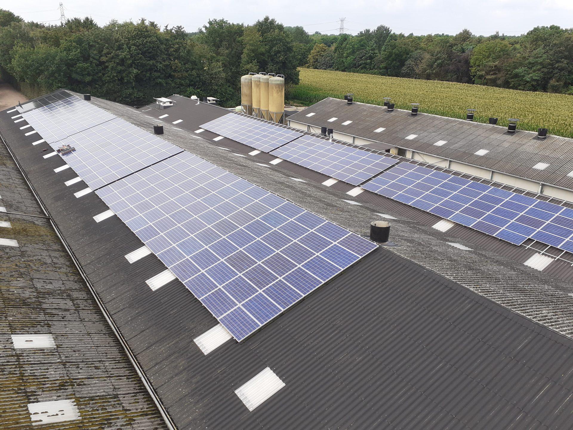 Nijssen Pluimvee B.V. grashoek / 410 zonnepanelen • Agri-SolarClean